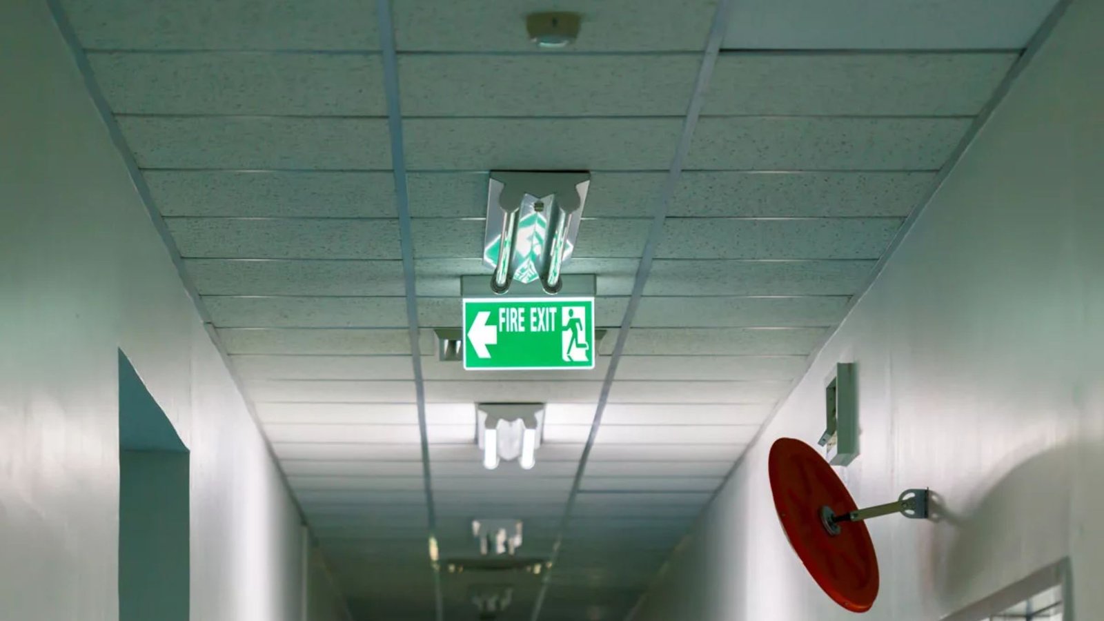 How to Choose Explosion-Proof EXIT Lights for Ultimate Safety?
