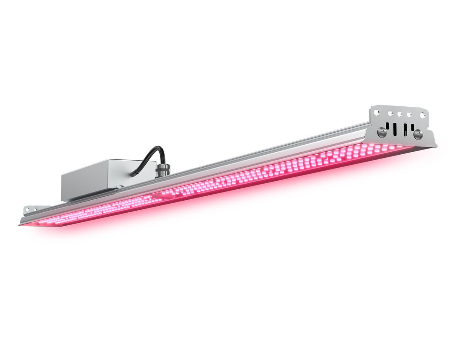 LED Grow Lights Dubai – Enhance Indoor Plant Growth | Leizur Ltd